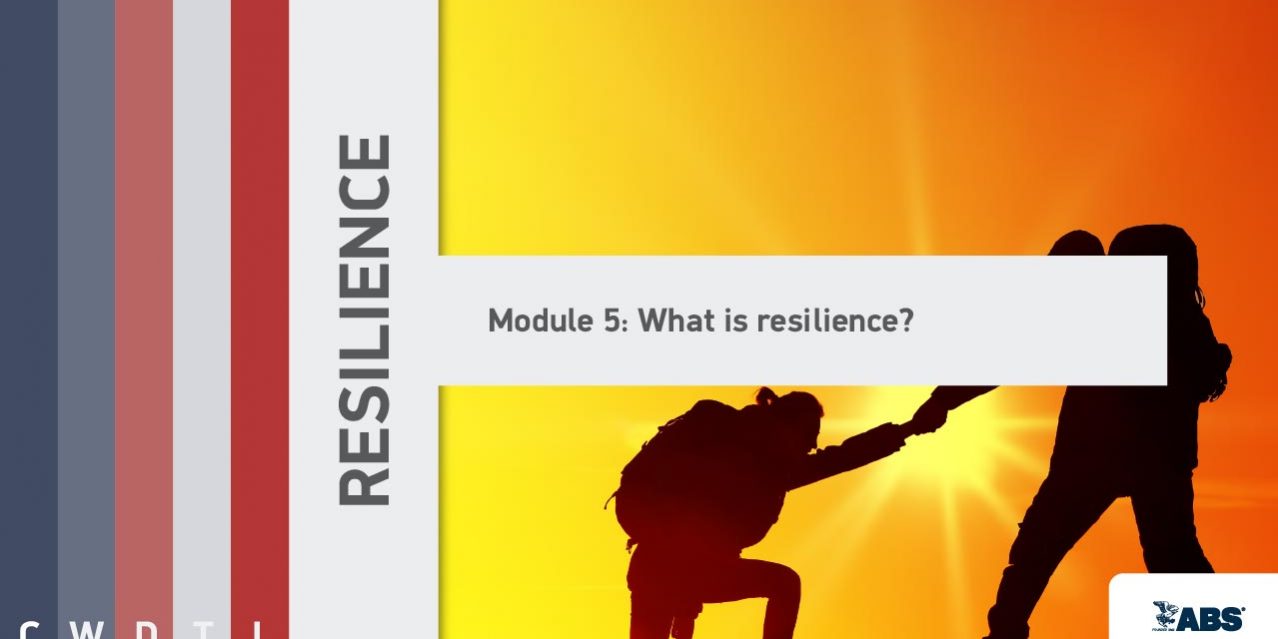 6005 - Resilience Training Programme: What is resilience? – SQLearn